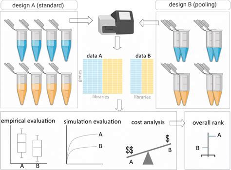 Of The Workflow Assessment Of Rna Sample Pooling In Rna Seq Experiment