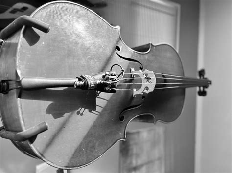 Writing For Cello — Mathew Arrellín Composer