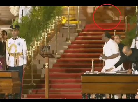 Is Dit ŉ Luiperd Vreemde Dier By President Se Inhuldiging Maroela Media