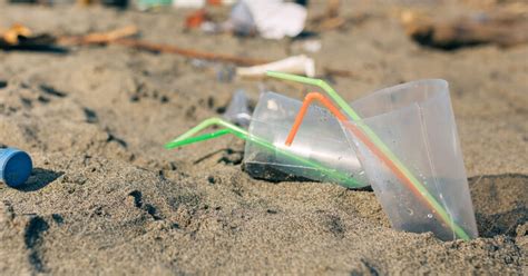 ‘미세플라스틱 오염된 우리 바다…해양생물 위협 한도 차오른다