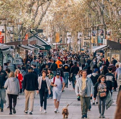 10 Effective Travel Tips To Avoid Theft And Secure Your Belongings