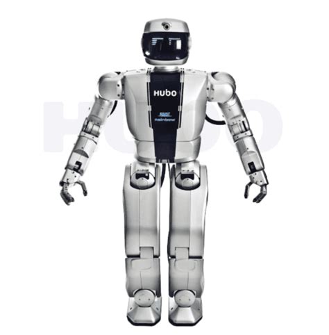 카이스트 포항공대 인재들이 만든 화제의 로봇기업 두 곳 Zdnet Korea