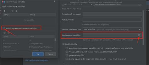 Spring Boot Intelij Idea In Wsl2 Error Export Programfilesx86