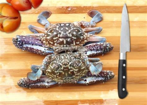 Ketam 1kg Qniti Bazaar