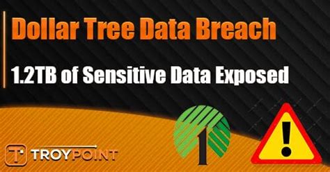 Dollar Tree Data Breach 12tb Of Sensitive Data Stolen