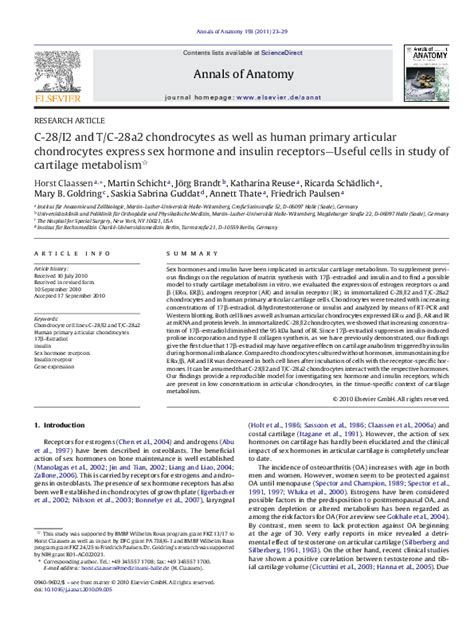 Pdf C 28i2 And Tc 28a2 Chondrocytes As Well As Human Primary