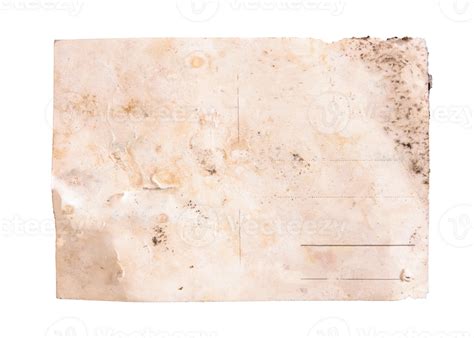 Postcard Back Pngs For Free Download