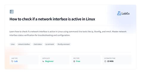 How To Check If A Network Interface Is Active In Linux Labex How To Check If A Network Interface Is Active In Linux Labex