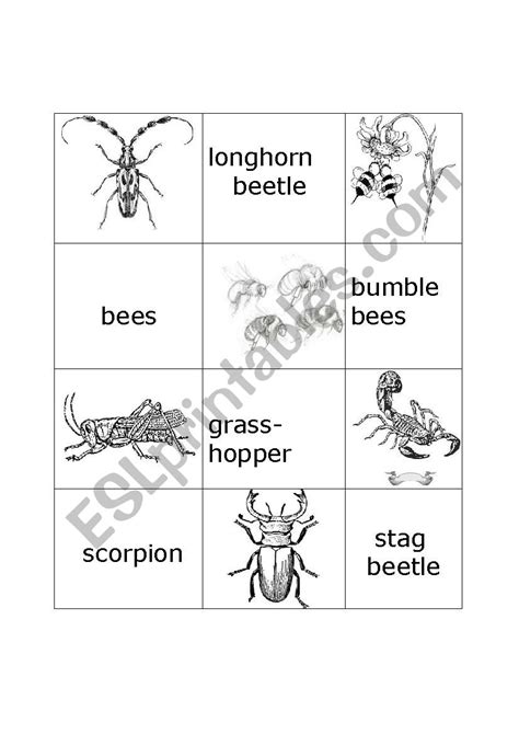 bugs memory esl worksheet by ealmak