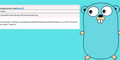 Creating An Aws Lambda Function In Go And Troubleshooting Common Errors