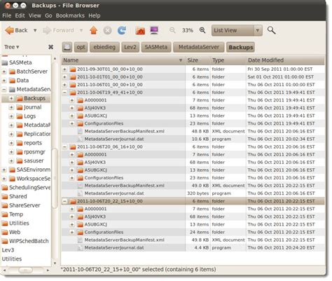 Metadata Time Travel With Sas 93