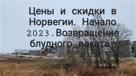 Мещанский влог из Норвегии Цены и скидки 2023 Возвращение волшебного пакета Youtube