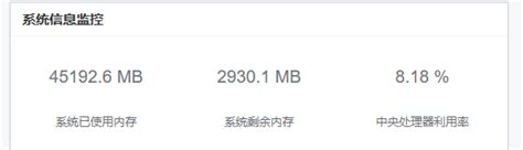 内存显示错误问题 · Issue 143 · Mcsmanagermcsmanager · Github