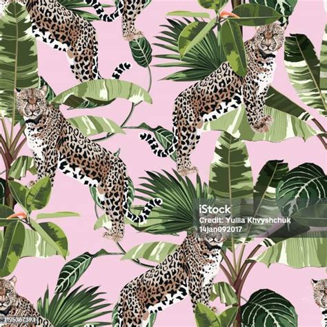 치타와 표범 야자수는 정글 원활한 벡터 배경에 열대 수채화 스타일을 떠난다 분홍색 배경 0명에 대한 스톡 벡터 아트 및 기타 이미지 0명 꽃 식물 나뭇가지 Istock