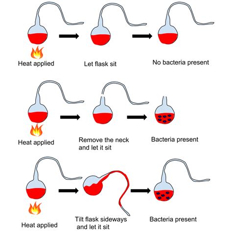 Spontaneous Generation