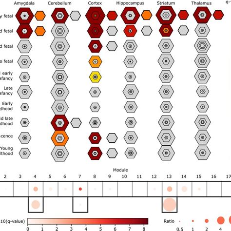 String Clusters Enriched In The 328 Known And 34 Plausible Candidate Download Scientific
