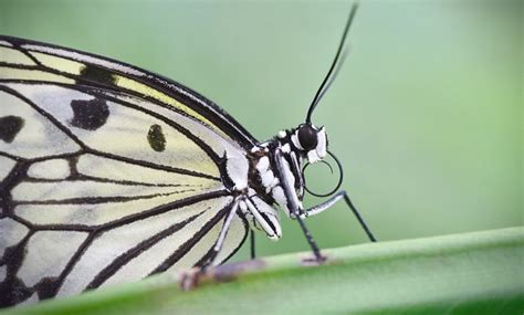 Macros Con Vba Excel 2021 Curso Completo Excel And Access Video Tutoriales Expertos