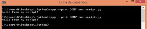 Esp32 Esp8266 Micropython Running Scripts From A Computer