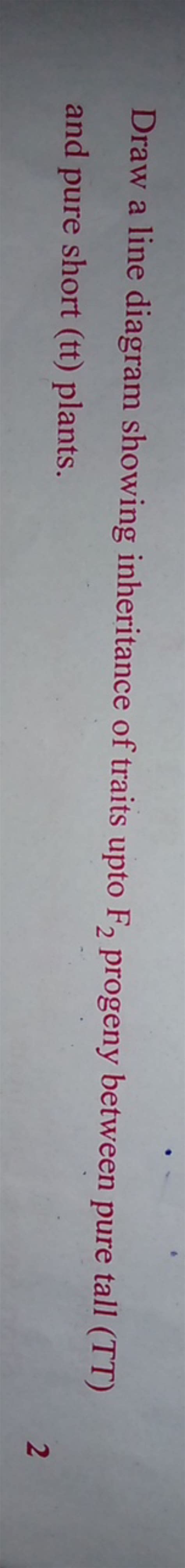 Draw A Line Diagram Showing Inheritance Of Traits Upto F2 Progeny Betwee