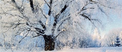 Snowflake A Modern Cloud Based Sql Data Warehouse Ironside Group