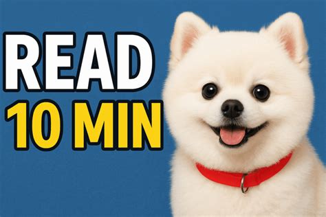 Vlookup 다중조건 완전정복 보조열·choose·index Match·xlookup