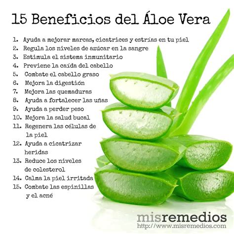 Aloe Vera Los Beneficios Consejos Para Mi Huerto