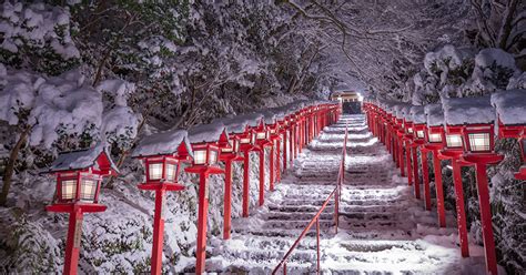 愛知県の絶景新城市ミツマタ群生地を一眼で撮影フワフワ浮かぶ黄金の絨毯 一眼絶景 ICHIGAN ZEKKEI