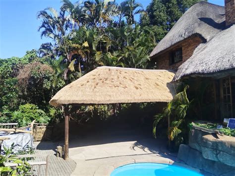 Portfolio1 Thatch Grass Suppliers