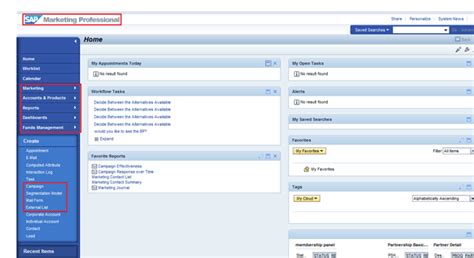 SAP CRM Marketing Plan Campaign Management Automation Segmentation