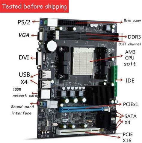Amd Am3 Cpu List Tranet Biologia Ufrj Br