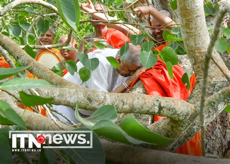 ජනපති ජය ශ්‍රී මහා බෝධීන් වහන්සේ වැඳපුදා ගනිමින් ආශිර්වාද ලබා ගනී Itn News දේශීය පුවත්