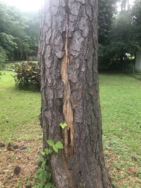 6 Best Uastrological Images On Pholder Atlanta Tarot And Depop