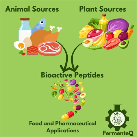 Microbial Bioactive Peptide Synthesis Fermenteq Leads The Charge In Sustainable Bioeconomy
