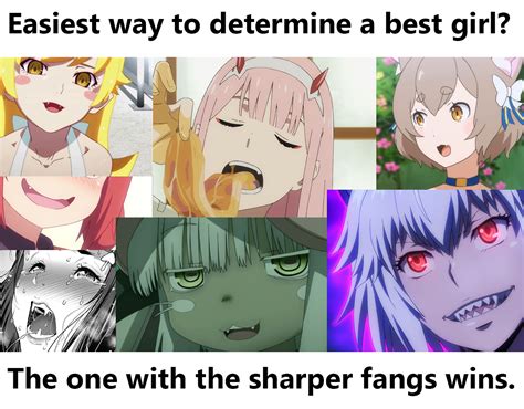 Why We Love Nux R Nuxtakusubmissions