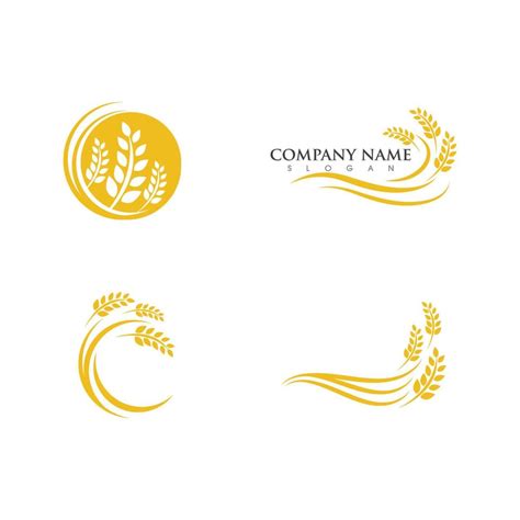 Agriculture Wheat Vector 16589036 Vector Art At Vecteezy