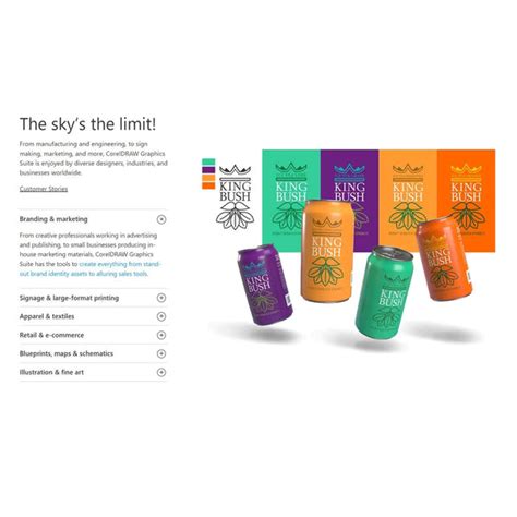 Coreldraw 2023 Graphics Suite Instant License Swing Design