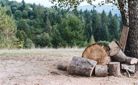 Root Removal Drainage And Hygiene Services Limited Blocked Drains Drainage Services