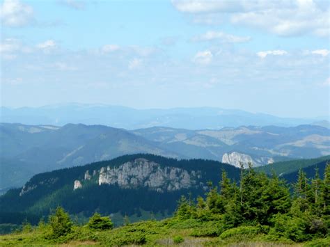 картинки пейзаж природа лес пустыня гулять пешком гора луг