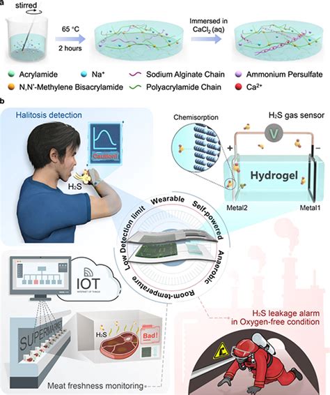 中山大学吴进 Nat Commun：用于痕量生物标志物检测的自供电、可拉伸的气体传感器设计中国聚合物网科教新闻