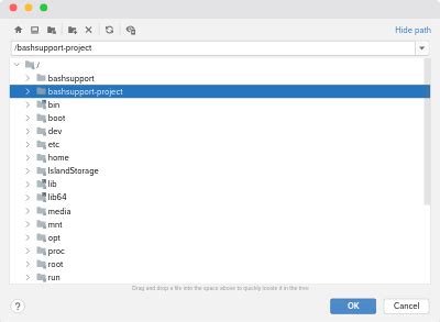 Quickstart With Bashsupport Pro The Ide For Bash Zsh And Posix Shell Script Development