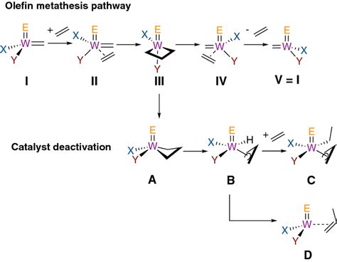 Olefin Metathesis And Unimolecular Catalyst Deactivation Reaction Download Scientific Diagram