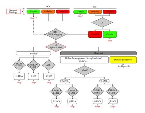 Adapted From Bioulac Sage Et Al 1 Algorithm For Download Scientific Diagram Adapted From Bioulac Sage Et Al 1 Algorithm For Download Scientific Diagram