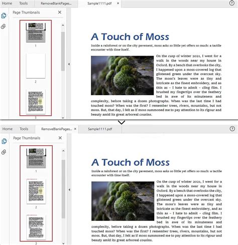 Detect And Remove Blank Pages From Pdf Files In Python