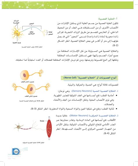 مقدمة عن الجهاز العصبي أنظمة جسم الإنسان ثالث ثانوي المنهج السعودي