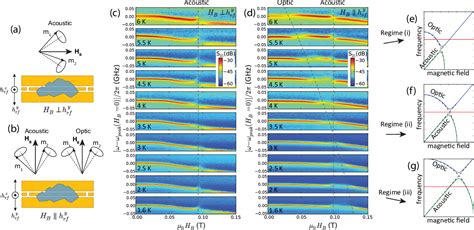 Figure 2 From Tunable Magnon Photon Coupling By Magnon Band Gap In A Layered Hybrid Perovskite