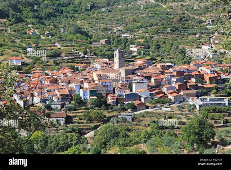 Clustered Settlement