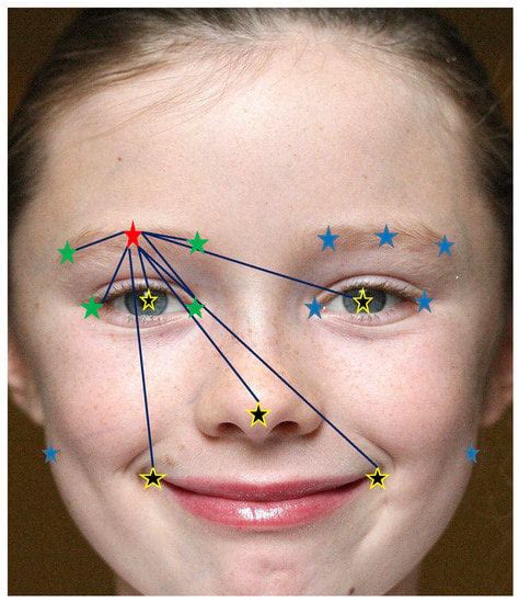 J Imaging Free Full Text Combining Cnns And Markov Like Models For Facial Landmark