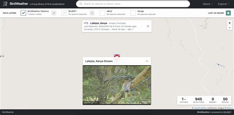 Classify Birds Acoustically With Birdnet Pi Raspberry Pi