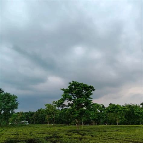 Faisal Khan Khattak Anywaysfaisal • Instagram Photos And Videos