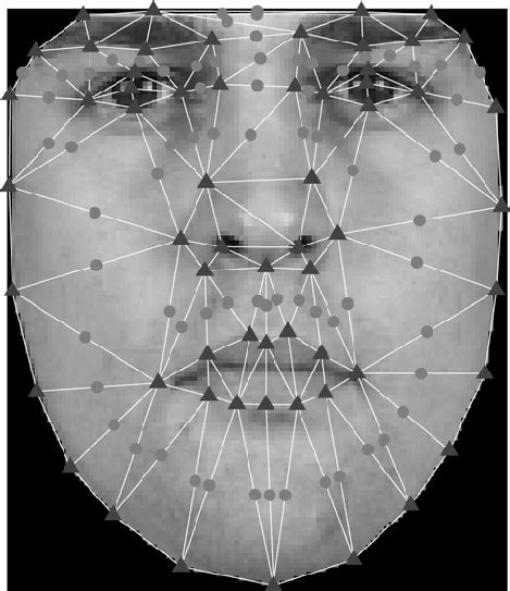 Set Of Points Comprising The Face Like Mesh Triangles Represent Download Scientific Diagram